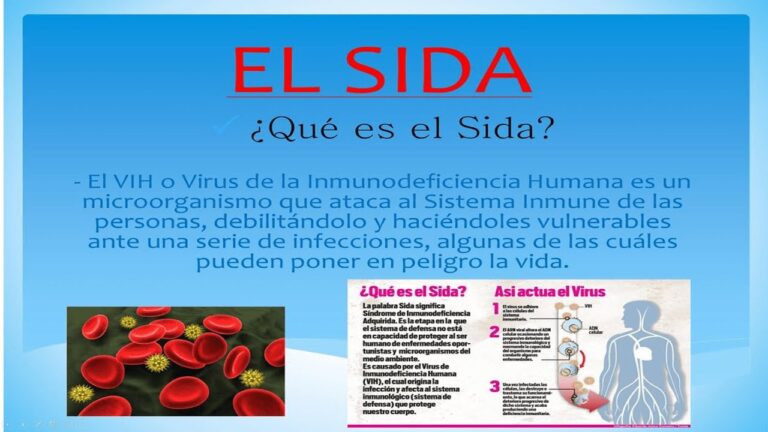Todo Lo Que Necesitas Saber Sobre Las Enfermedades Infecciosas VIH/SIDA ...