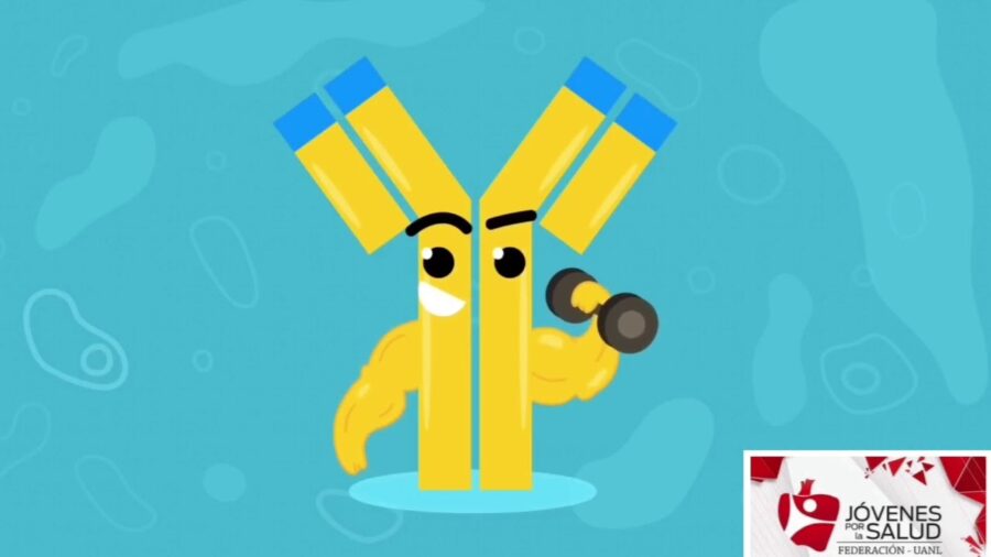 7 Consejos Efectivos Para La Prevención De Enfermedades Infecciosas ...