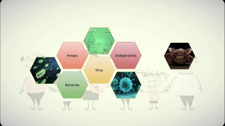 10 Medidas De Prevención De Enfermedades Infecciosas Y Contagiosas Que ...