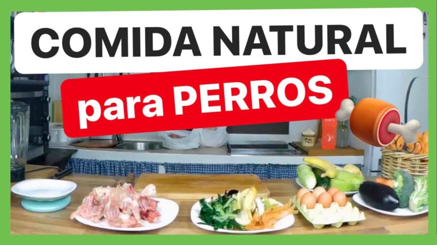 Guía Completa De La Dieta Natural Para Perros: Cómo Alimentar A Tu ...