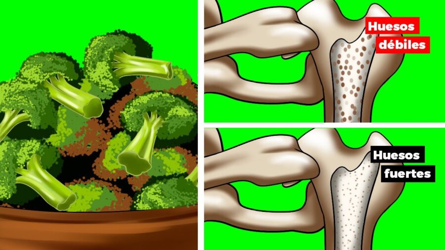 La Importancia De Una Dieta Rica En Calcio: Descubre Cómo Fortalecer ...