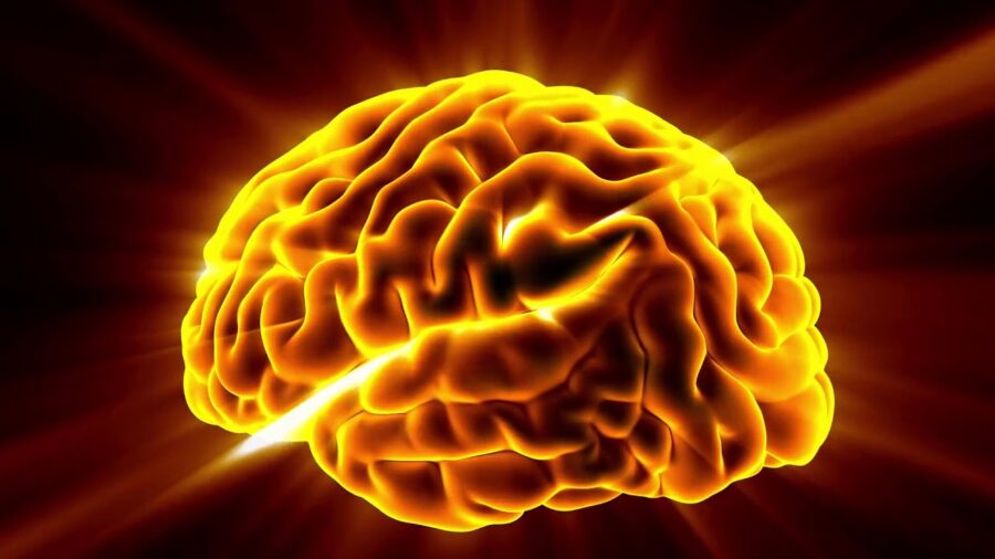 Ataxia Cerebelosa - Ignesistraining.com