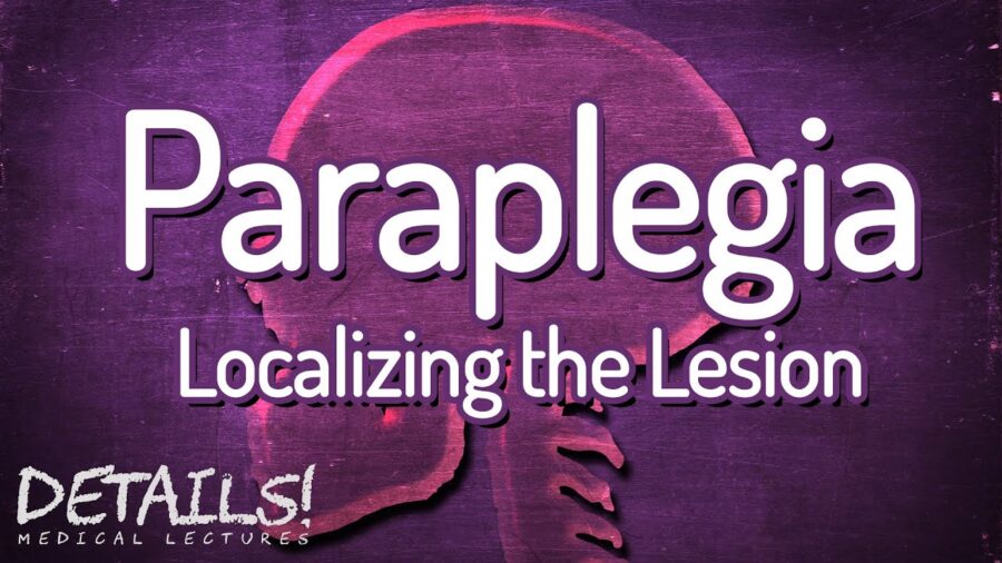 Lesión Medular – Paraplejia - Ignesistraining.com